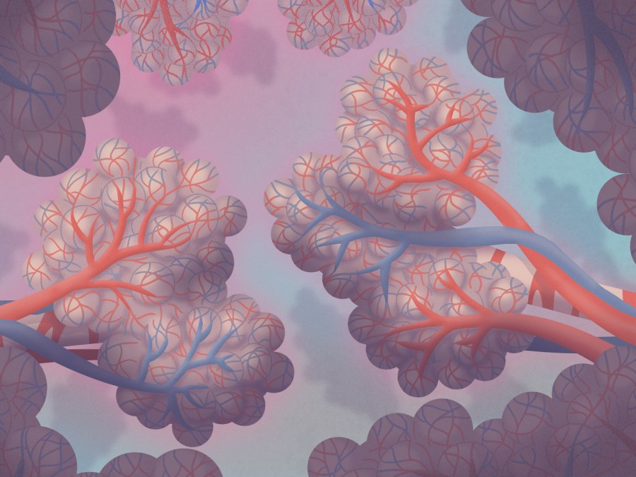 ADAM WAITO 2D layout, illustration, animation, design, etc | TORONTO ...